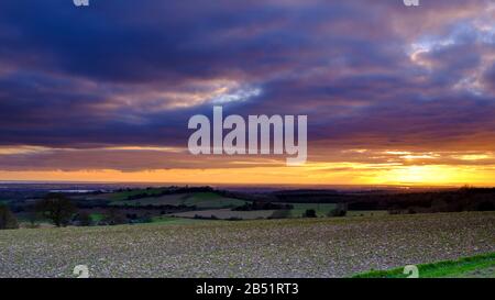 Halnaker tree tunnel over an ancient track to Halnaker windmill forming ...