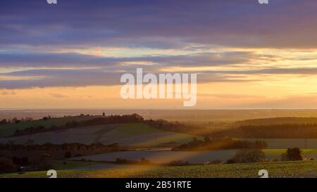 Halnaker tree tunnel over an ancient track to Halnaker windmill forming ...