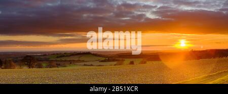 Halnaker tree tunnel over an ancient track to Halnaker windmill forming ...