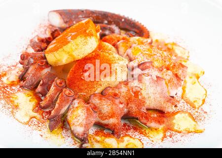 Cooked octopus tentalce isolated on a white background and decorated ...