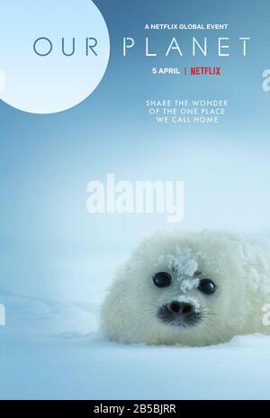 OUR PLANET (2019). Credit: SILVERBACK FILMS / Album Stock Photo - Alamy