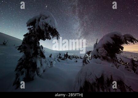 forest on snowy hillside at night in full moon light. beautiful nature ...