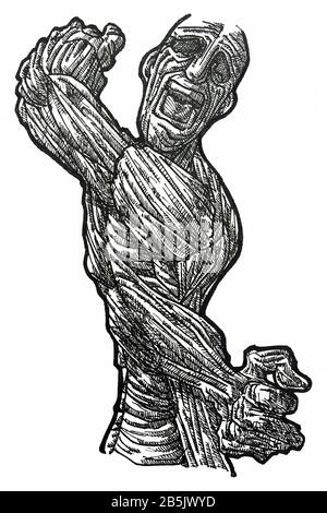 Ink Drawing (Sketch, Hatch Work) of an Expressive Face (Old Man) in a ...