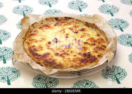 Leipajuusto, kaffeost, bread cheese, finnish squeaky cheese slices with ...