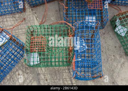 Plastic Octopus traps and molluscs. With shiny bait Stock Photo - Alamy