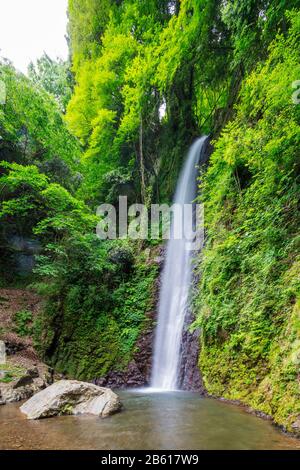 Yoro Falls, Yoro, Gifu, Japan Stock Photo - Alamy