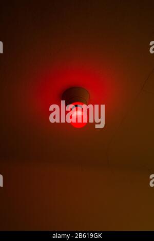 Exposed energy lightbulb Stock Photo - Alamy