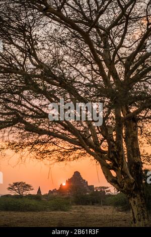 Dhammayan Gyi Temple in sunset, Bagan, Myanmar Stock Photo - Alamy