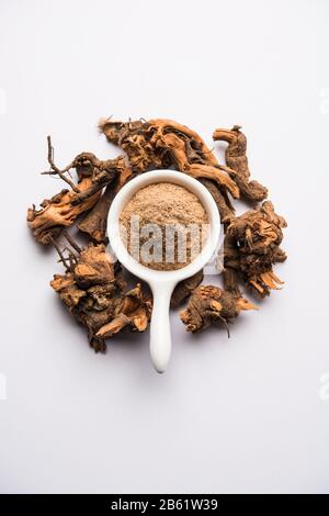 Ayurvedic Chitrak or Sheetraj roots also known as Plumbago zeylanica ...