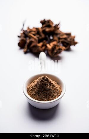 Ayurvedic herb chitrak or Plumbago zeylanica roots, isolated over white ...
