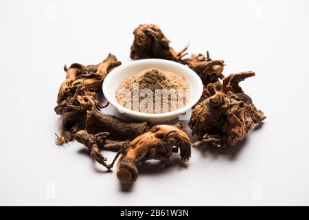 Ayurvedic Chitrak or Sheetraj roots also known as Plumbago zeylanica ...