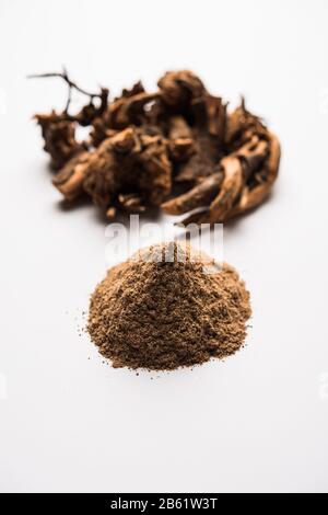 Ayurvedic Chitrak or Sheetraj roots also known as Plumbago zeylanica ...