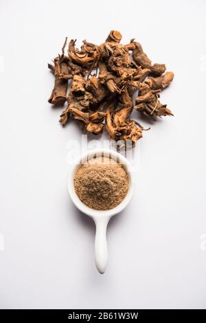 Ayurvedic herb chitrak or Plumbago zeylanica roots, isolated over white ...