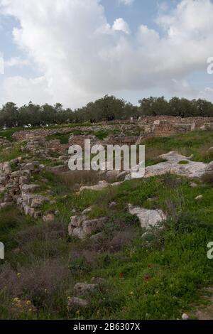 Sebastia ancient israel excavation on palestinian territory Stock Photo ...
