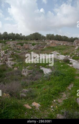 Sebastia ancient israel excavation on palestinian territory Stock Photo ...