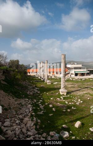 Sebastia ancient israel excavation on palestinian territory Stock Photo ...