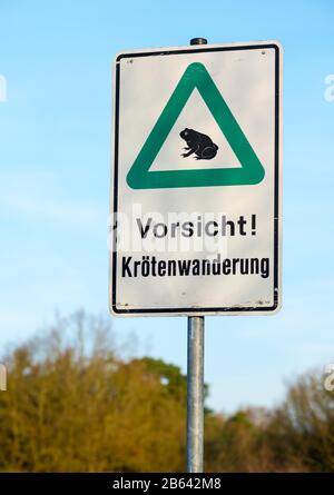 Sign, toad migration in spring, beware of toads and frogs crossing the ...