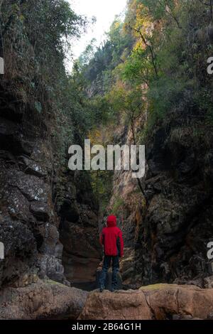 ready to face the odds Stock Photo - Alamy