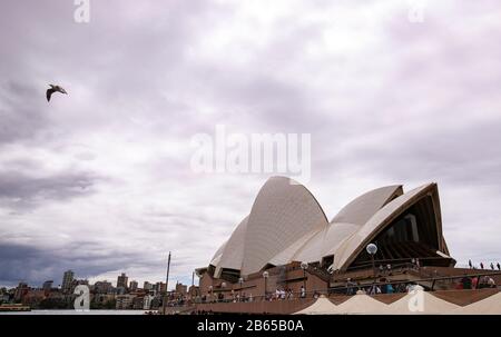 Federal Health Minister Greg Hunt and Navy Commodore Eric Young arrive ...