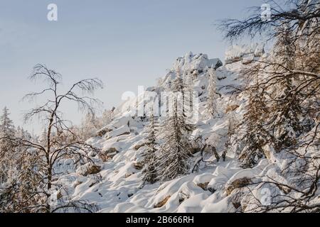 Rocky peak of basalt pillars covered by snow, winter forest in the ...
