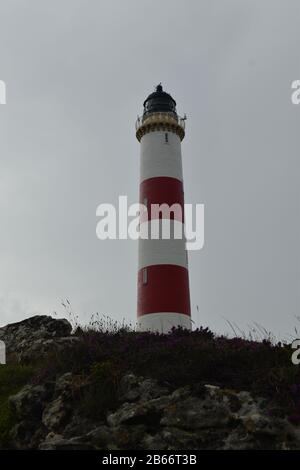 The red and white striped Tower Tarbat Ness Lighthouse, Tarbat Ness ...
