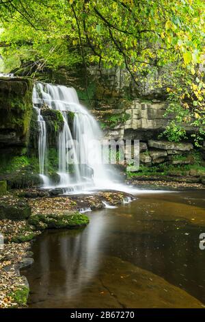 Autumn at Cauldron Falls, West Burton, wensleydale, North Yorkshire, UK ...