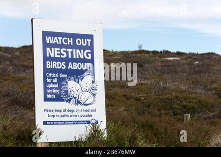 A motorist ‘beware’ sign on the North York Moors where upland birds ...