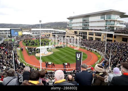 A general view of the Parade Ring on day two of the 2025 Cheltenham ...