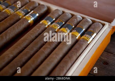 Box of Cohiba Esplendidos cigars Cuba Stock Photo - Alamy