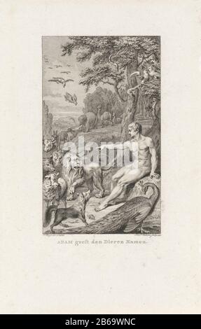 Adam Names Animals Stock Photo - Alamy