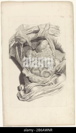 Anatomical study of the entrails of a man, Pieter van Gunst, After ...