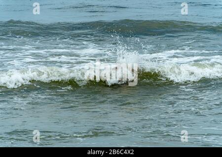 Surf on a beach in Alicante. Spain Stock Photo - Alamy