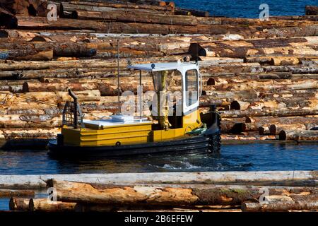 Harmac Pulp Mill, Nanaimo, Vancouver Island, British Columbia Stock ...