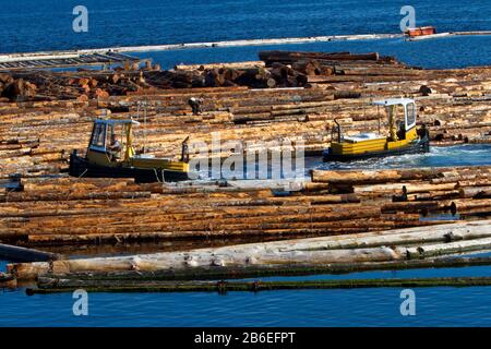 Harmac Pulp Mill, Nanaimo, Vancouver Island, British Columbia Stock ...