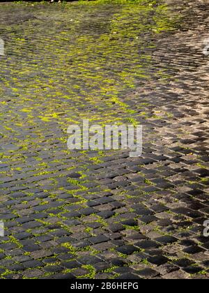 Sampietrini Cobblestones, Vatican City, Rome, Italy Stock Photo - Alamy