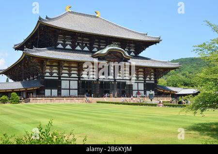 Giant tree at Nara Stock Photo - Alamy