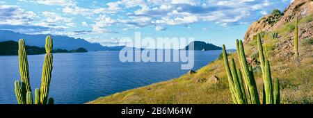 Mexico, Baja California Sur, El. Sargento, Ventana Bay, mexican, Sea of ...