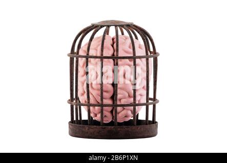 Human brain trapped in old rusty cage,Free your mind concept Stock ...