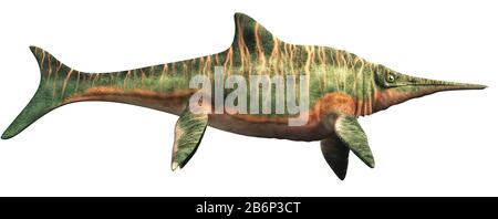 3D Rendering Ichthyosaur Shonisaurus on White Stock Photo - Alamy