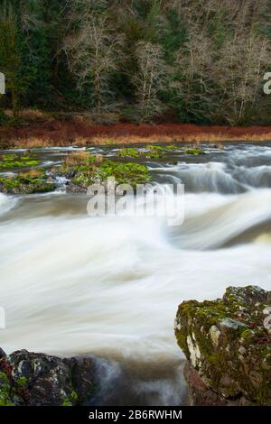 Nehalem River, Tillamook State Forest, Elsie, Oregon, USA Stock Photo ...