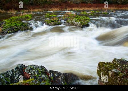 Nehalem River, Tillamook State Forest, Elsie, Oregon, USA Stock Photo ...