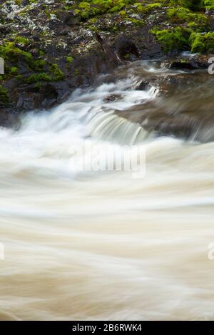 Nehalem River, Tillamook State Forest, Elsie, Oregon, USA Stock Photo ...
