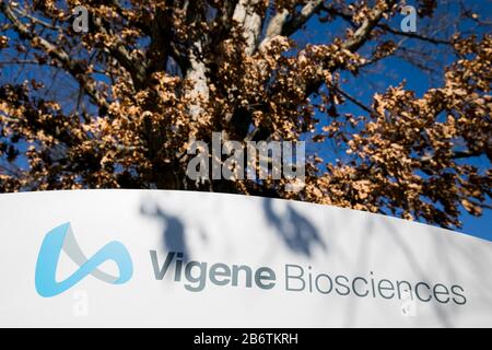 A logo sign outside of the headquarters of Vigene Biosciences in ...