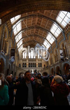 Interior from the Exhibition Hall, Exhibition Stock Photo - Alamy
