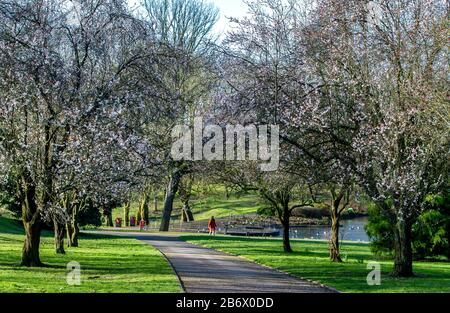 Bolton, Lancashire, 12 March 2020. Beautiful spring sunshine for people ...