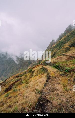 Hiking along steep slope to overgrown tree engraving hand drawn sketch ...
