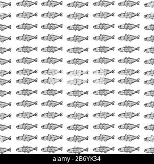 Hake drawing, illustration, vector on white background Stock Vector ...