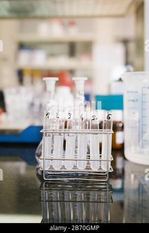 Test tubs in a laboratory Stock Photo - Alamy