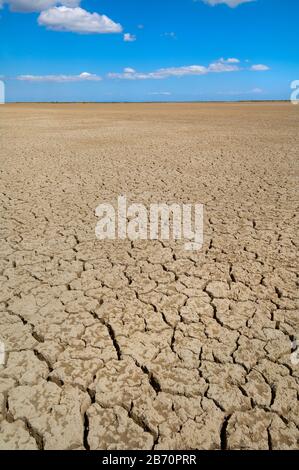 Dried mudflats looking like desert in Camargue, France Stock Photo - Alamy