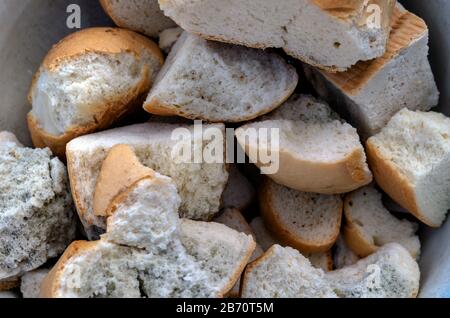 Mouldy bread food spoilage Stock Photo - Alamy